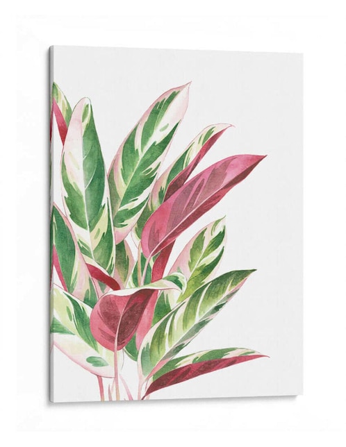 Litografía Canvas Lab Triostar técnica Impresión 1