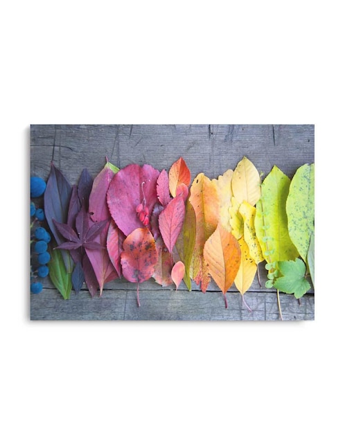 Cuadro decorativo Canvas Art hojas de colores grandes con barniz a ...