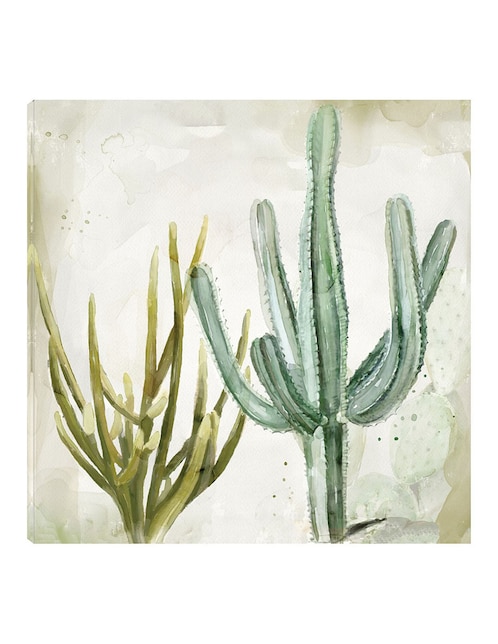 Cuadro decorativo Cactus en Acuarela II técnica mixta Cuadros Jr 1