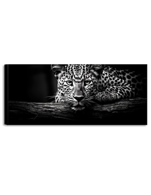 Litografía Un Toque Francés Leopard In Namibia técnica impresión 1