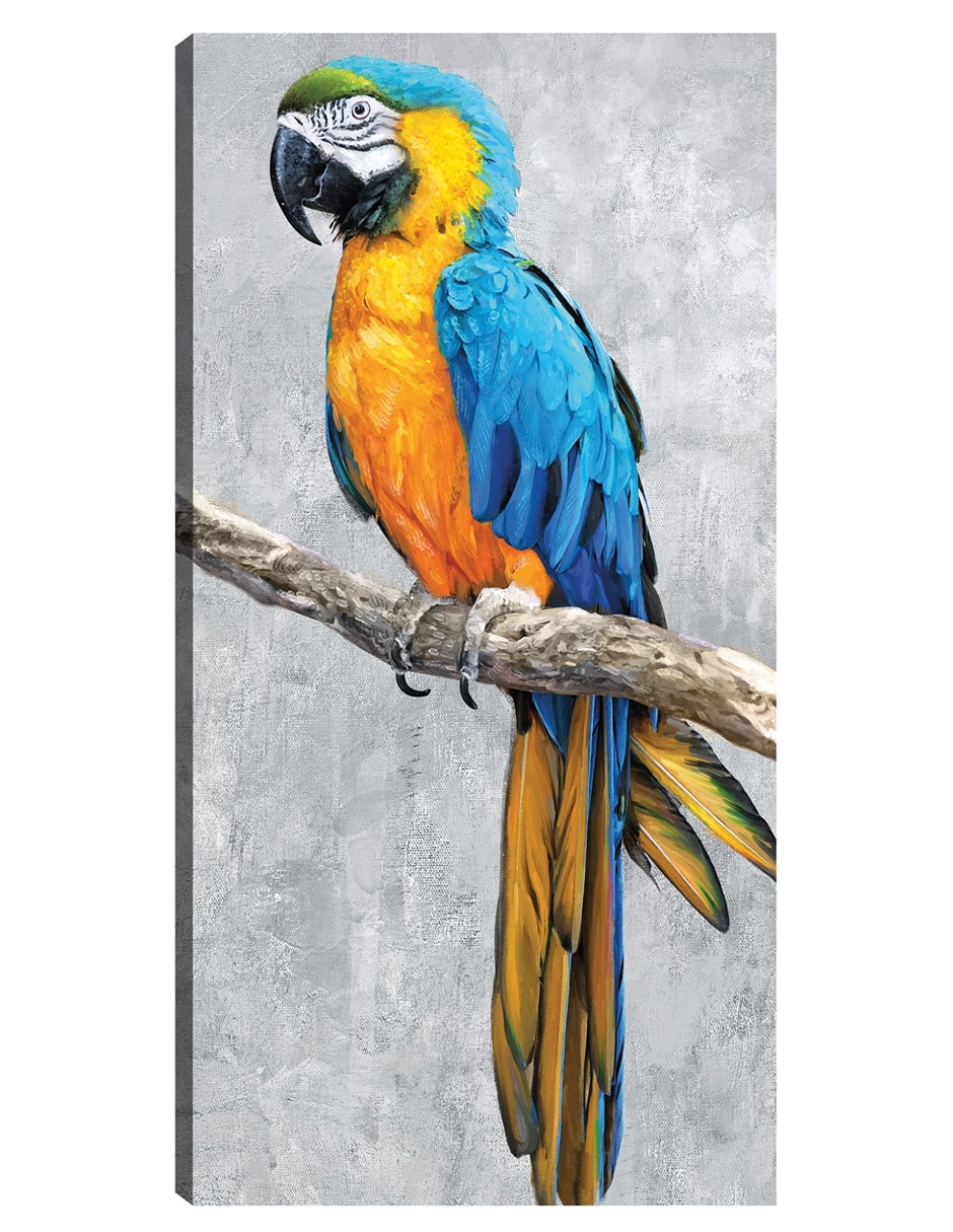 Pinturas De Loros